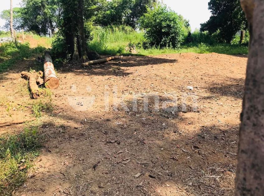 Ragama Thewatta Road 13.5 Perches Land For Sale | ikman