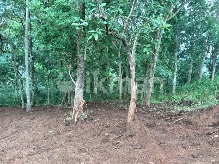 Residential Land for Sale in Kandy Haragama | ikman