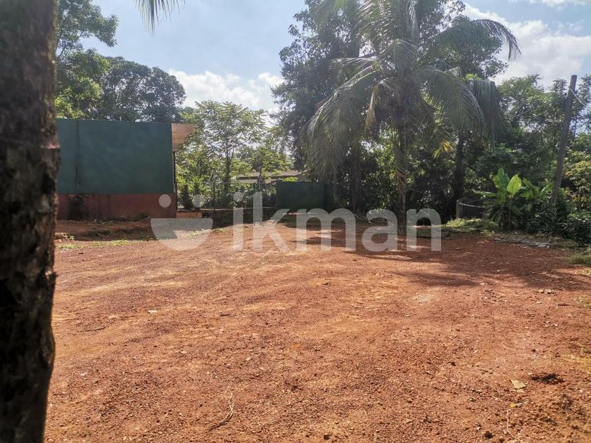 Residential Land In Palawaththa | ikman