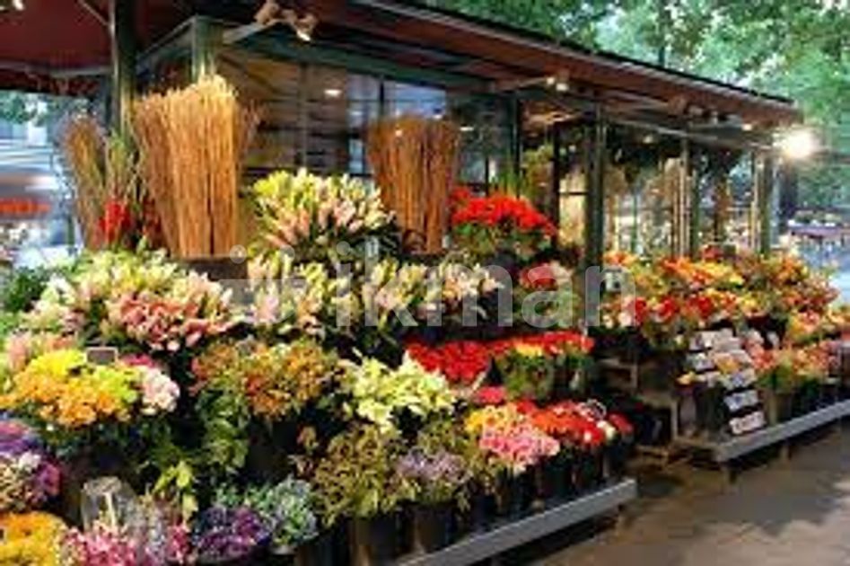 Restaurant KOT BOT POS System # in Boralesgamuwa | ikman