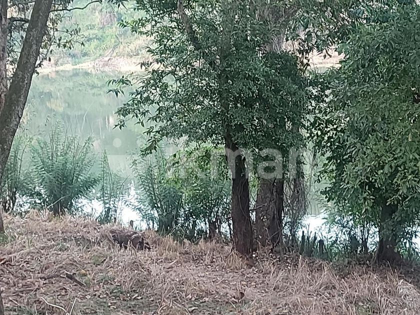 River view Land for sale in Kandy | ikman