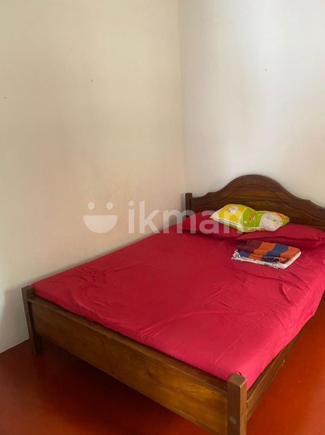 Room for Rent Wattala | ikman