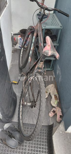 Bicycle for Sale in Colombo 10 | ikman