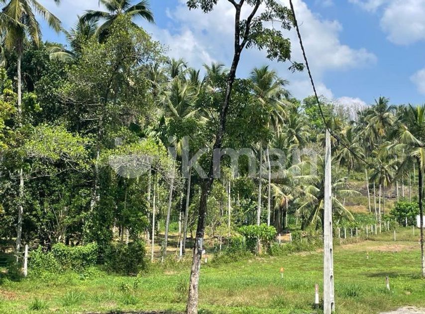 Sale Watareka Padukka, Highly Valuable Estate (NZMS3024) | ikman