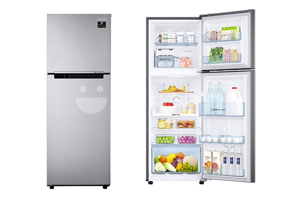 Samsung 253L Double Door Inverter Refrigerator (RT28) for Sale in ...
