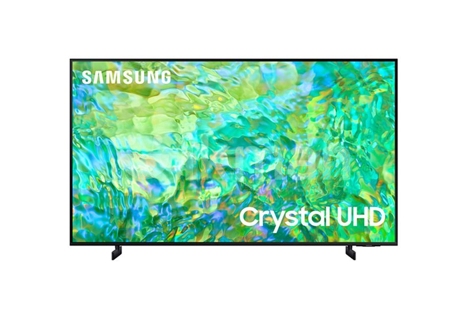 Cane Corso Puppies for Sale in Kadawatha | ikman