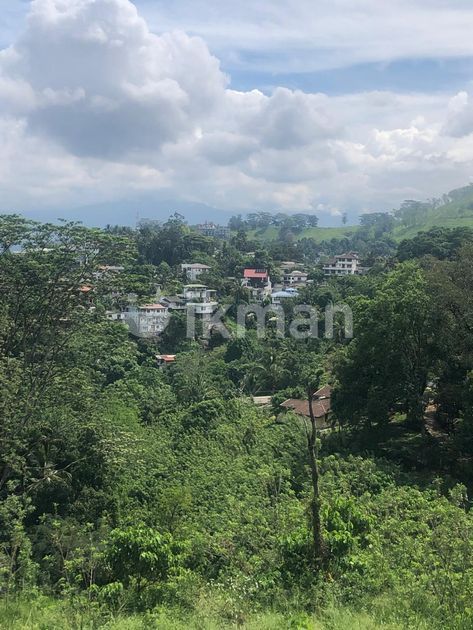 Scenic Hillside Land for Sale in Heerassagala, Kandy | ikman