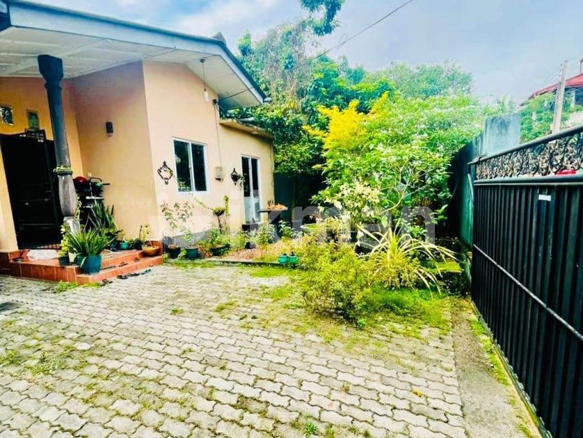 (SDS-316) Valuable Single Storey House Sale in Maharagama | ikman