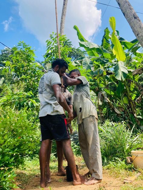 Shenun Nala Lin - Tube Wells | Nugegoda | ikman