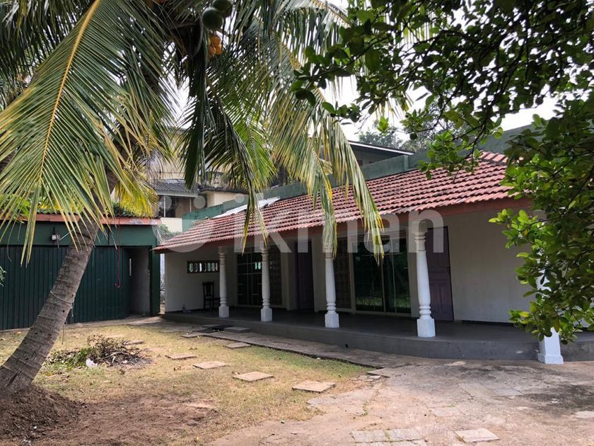 Single Story House For Sale in Wellawatta Colombo 6 | ikman