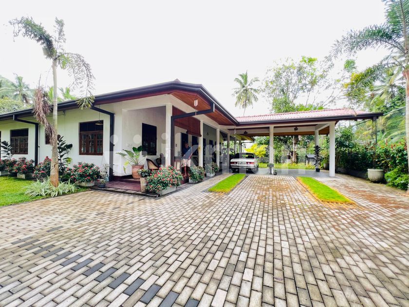 Spacious Single Storied House For Sale Padukka | ikman