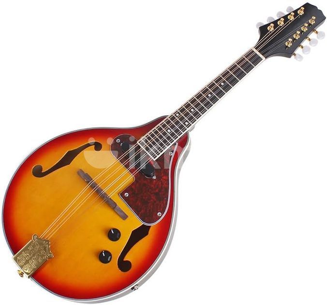 Suzuki Spruce Wood 8-String Electro-Acoustic a Type Mandolin Instrument ...