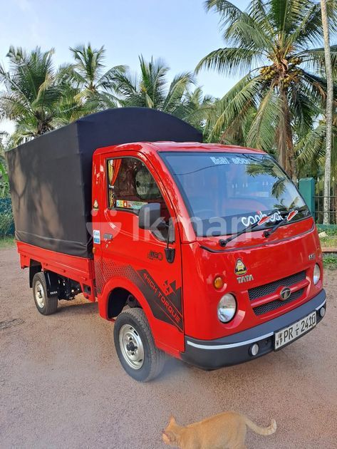 Tata Dimo Batta 2011 | Divulapitiya | ikman