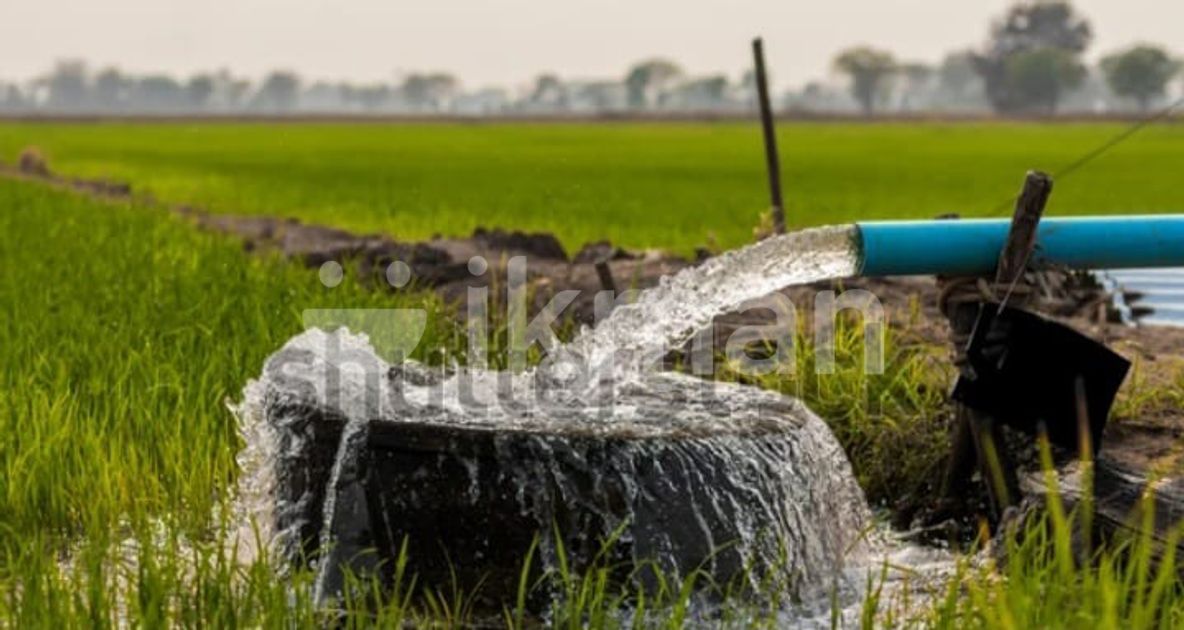 Tube Well - පාදුක්ක | Padukka | ikman