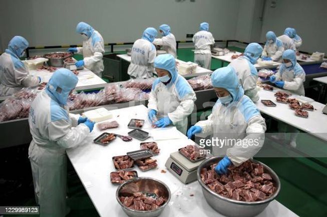 Food Packing Assistant Vacancy | Anuradhapura City | ikmanJOBS