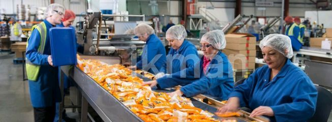 Food Packing Assistant Vacancy | Anuradhapura City | ikmanJOBS