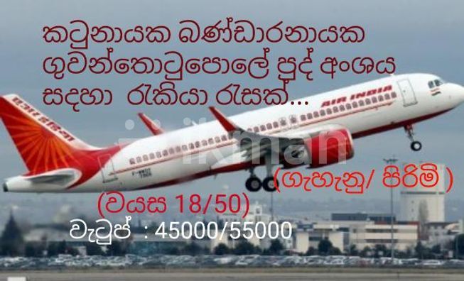ගුවන්තොටුපොලේ ආහාර පාන ඇසුරුම් අංශය Vacancy | Homagama | ikmanJOBS