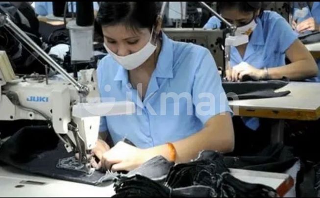Juki Sewing Machine Operator Vacancy | Boralesgamuwa | ikmanJOBS