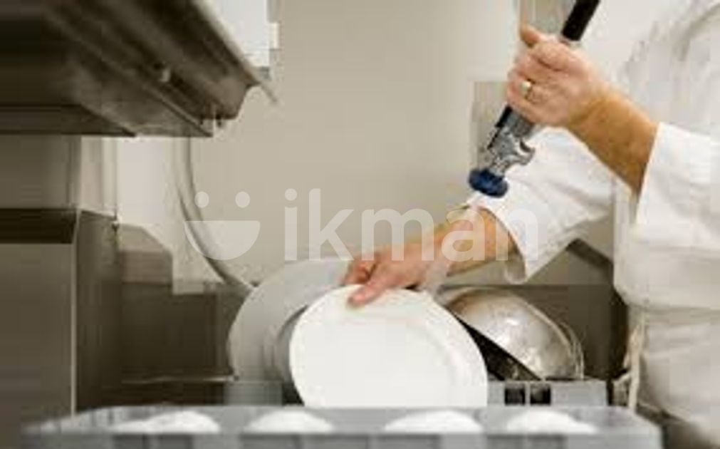 Kitchen Steward (Male/Female) - Kandy City Vacancy | Kandy City | ikmanJOBS