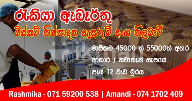 Packing Officer Vacancy | Galagedara | ikmanJOBS