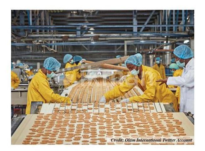 Packing Officer ( Male / female) Vacancy | Welimada | ikmanJOBS