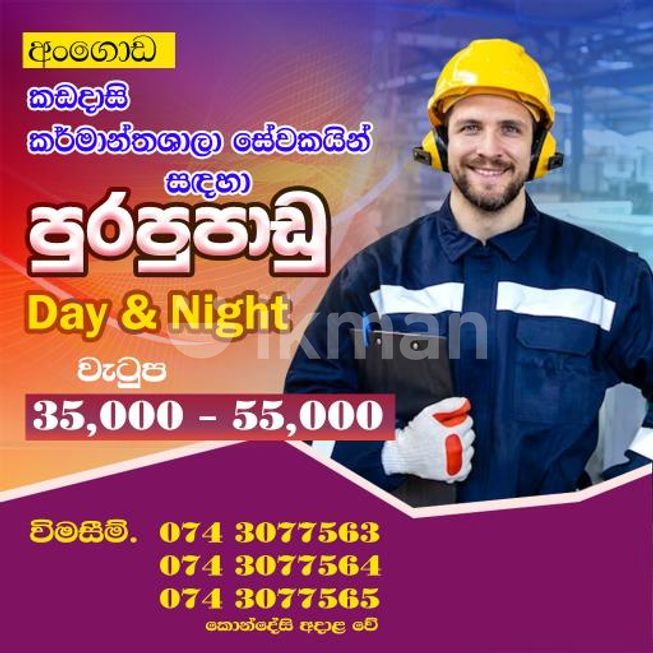 Packing Officer Vacancy | Monaragala City | ikmanJOBS