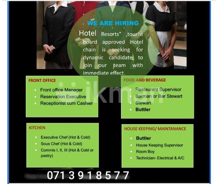 Steward Room Boy - Hikkaduwa Vacancy | Hikkaduwa | ikmanJOBS