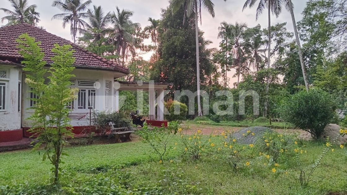 Valuable Land for Sale in Agalawatta Town mathugama road | ikman