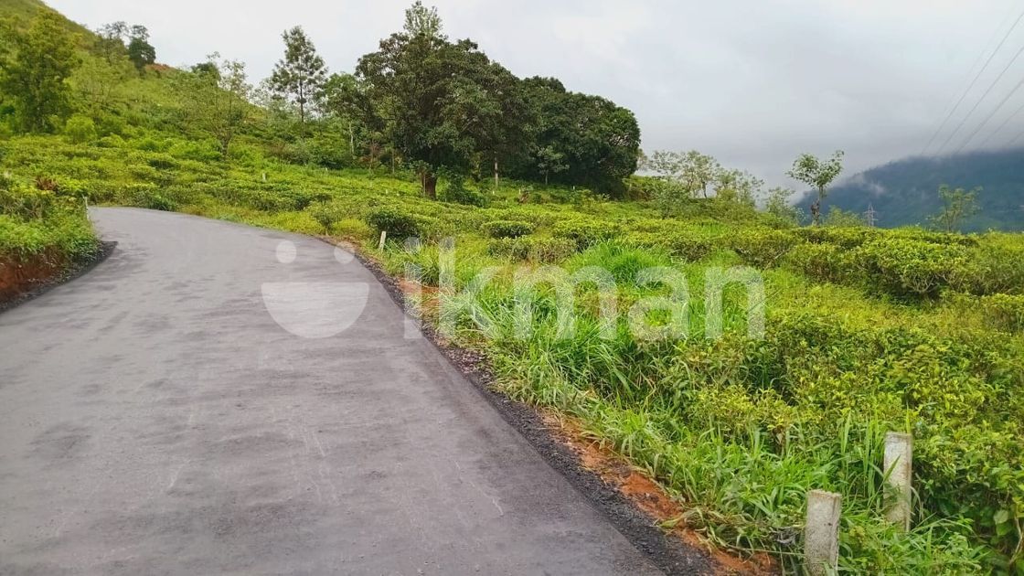 Valuable Land for Sale in Pudaluoya | ikman