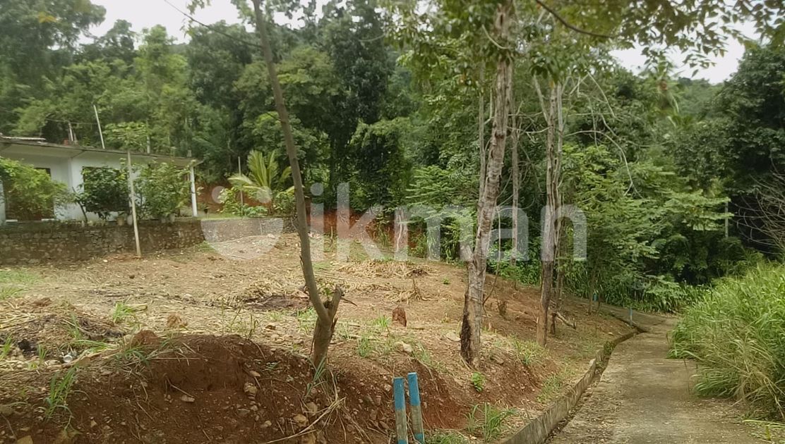 Valuable land for sale Mawanella | ikman