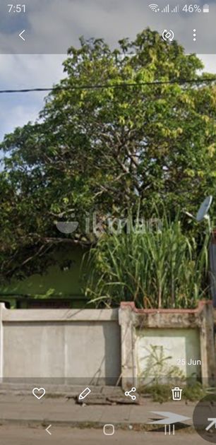 Valuable Land in Puttlam Town | ikman
