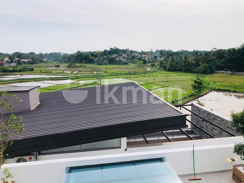 very nice paddy fields view luxury house for sale pannipitiya | ikman