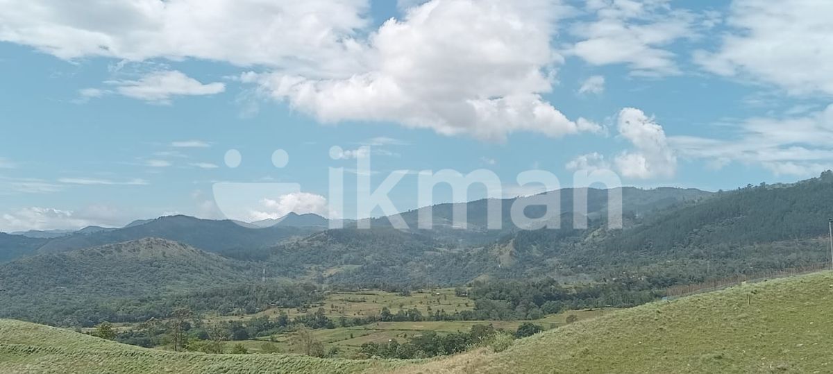 View Land of Sale Delthota Town | ikman