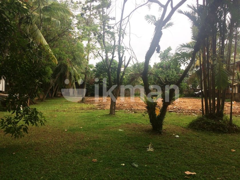 Water Front Land for Sale in Moratuwa | ikman