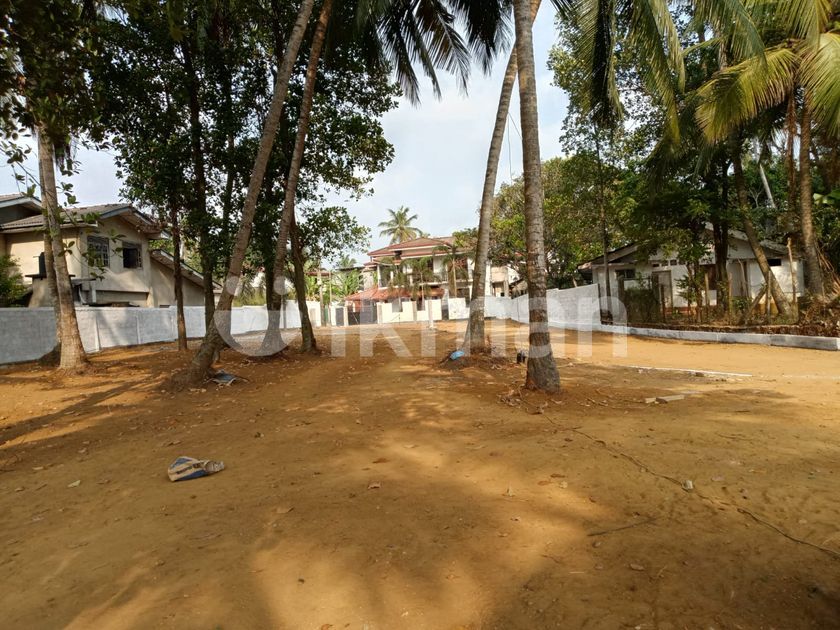welisara valuable land for sale near to Negombo bus road | ikman