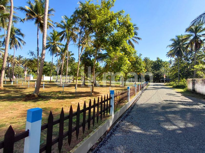 Well Developed Lands in Divulapitiya Mellawagedara S02 | ikman