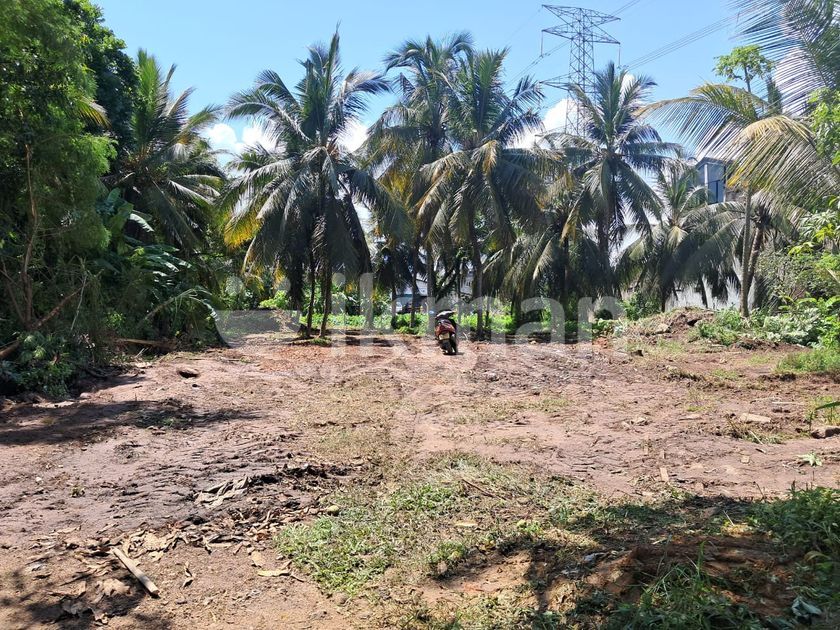 Wellampitiya : 46 Perches Land for Sale at Gothami mawatha | ikman